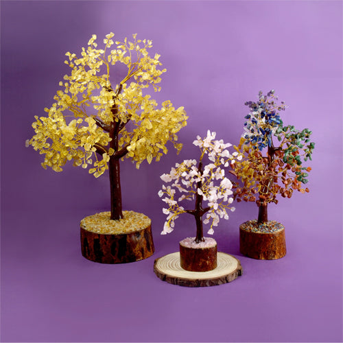 Experience Seetara | Crystals, Rudraksha & Spiritual Decor